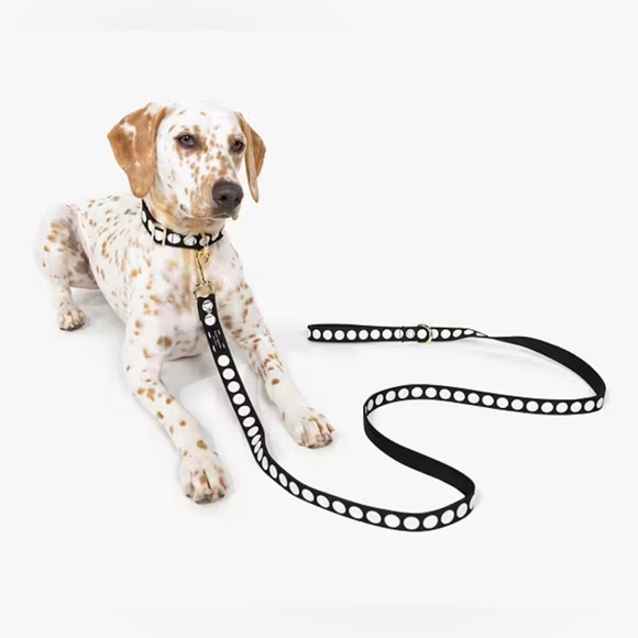 kate spade | Dog | Kate Spade Art Dot Dog Collar Ml 29 And Art Dot ...